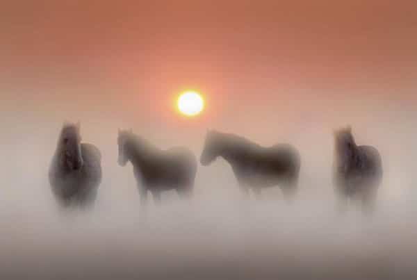 Humility: Artwork on Humility - Charis Institute